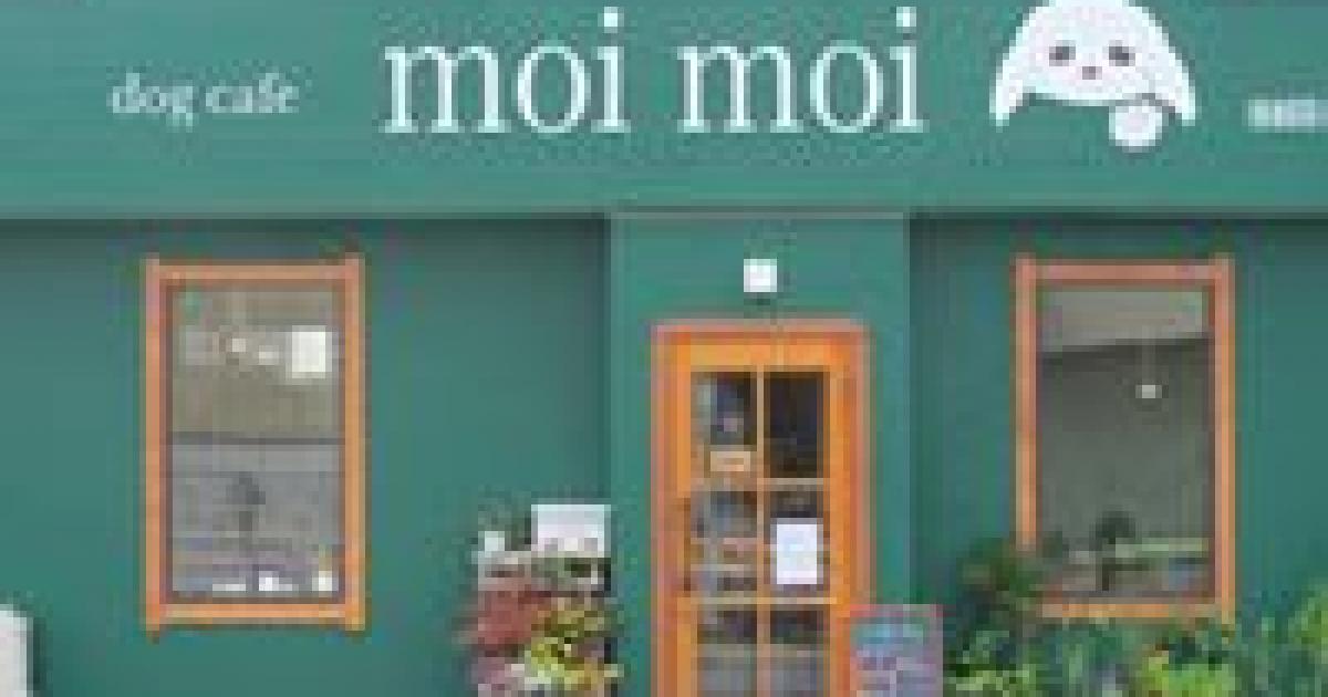 dog cafe moi moi～鴨宮～｜小田原市｜横浜ペットナビ